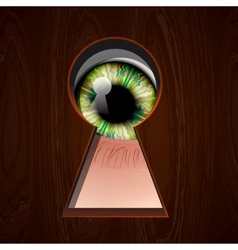 Look through a key hole Royalty Free Vector Image