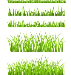 Three grass patterns with flowers Royalty Free Vector Image