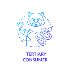 Tertiary consumer concept icon grazing food chain Vector Image