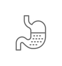 Stomach isolated icon digestive system internal Vector Image