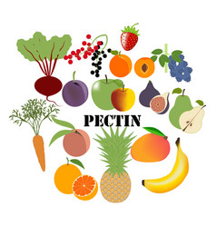 Pectin healthy nutrient rich food Royalty Free Vector Image