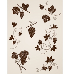 Decorative grape vine elements Royalty Free Vector Image