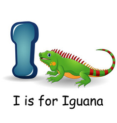 Animals alphabet i is for iguana Royalty Free Vector Image