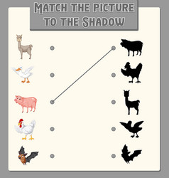 Insect shadow matching game template Royalty Free Vector