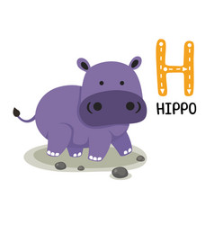Hippo Royalty Free Vector Image - VectorStock