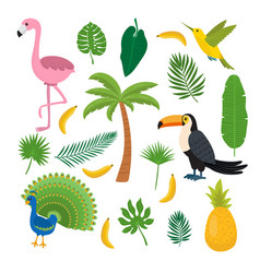Card with tropical beach plants and parrot Vector Image