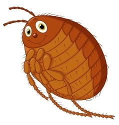 Flea cartoon Royalty Free Vector Image - VectorStock